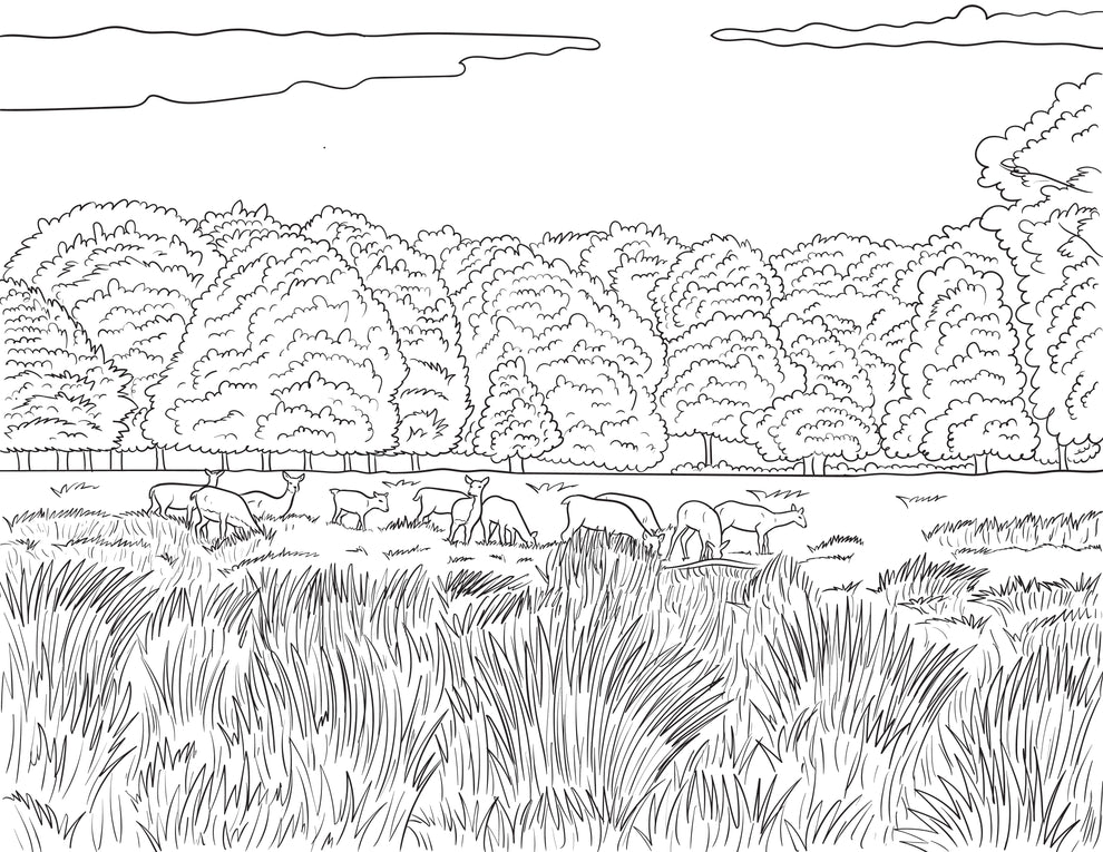 Richmond Colouring Book (A4) – Colour Your Streets