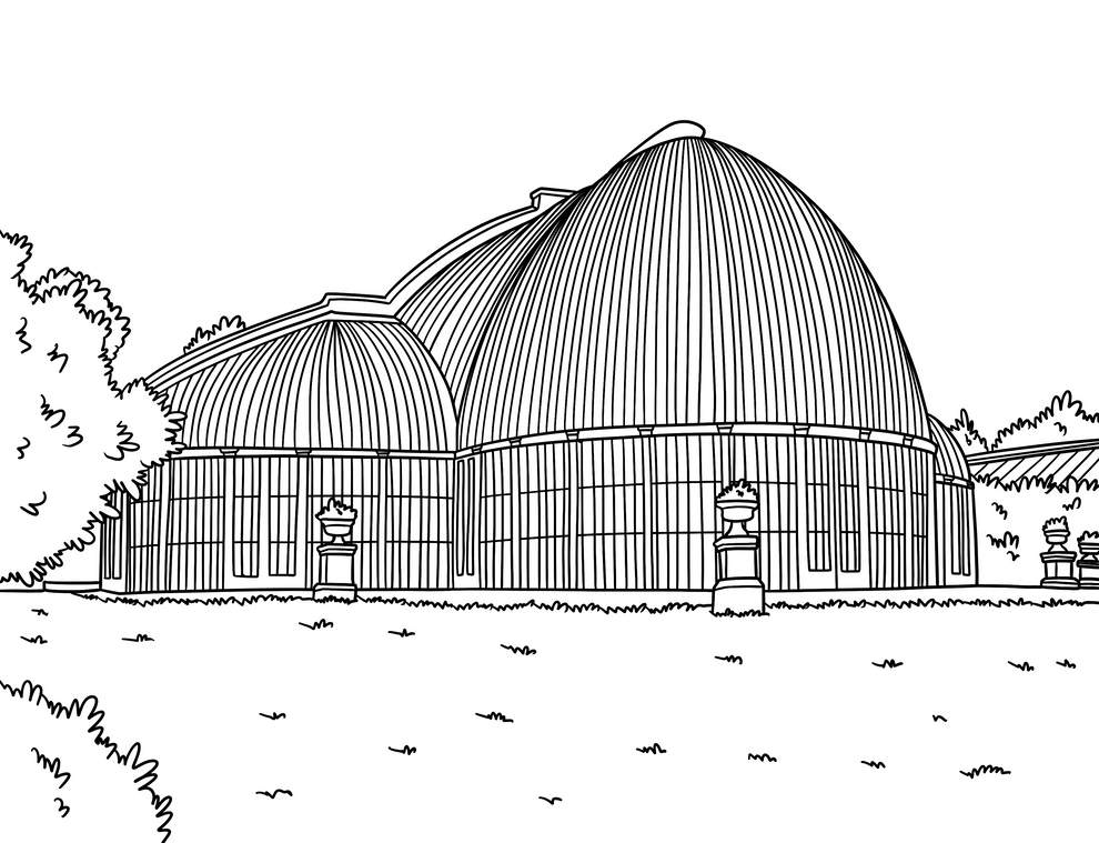 Devon Colouring Book (A4) – Colour Your Streets